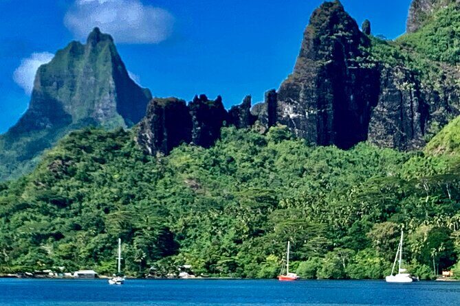 Half-Day Tour of Moorea Island in a Small Group - Transportation and Group Size: What to Expect