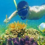 Half Day Tour Snorkeling in Nha Trang Bay Included Lunch - Frequently Asked Questions
