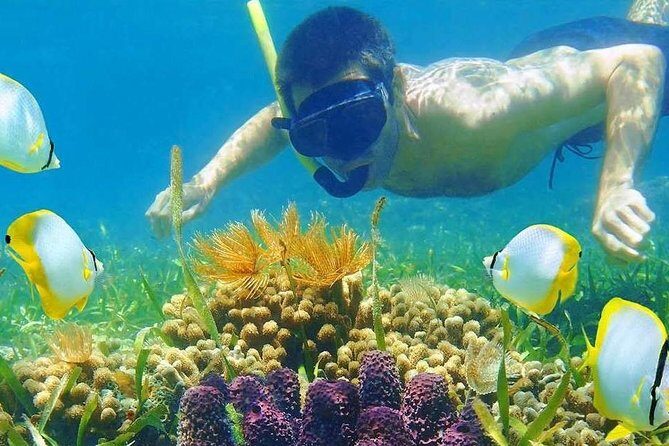 Half Day Tour Snorkeling in Nha Trang Bay Included Lunch - Frequently Asked Questions