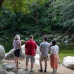 Half Day Tour to Daintree Rainforest and Mossman Gorge - Analyzing the Value and Experience