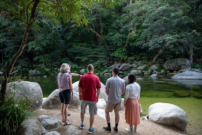 Half Day Tour to Daintree Rainforest and Mossman Gorge - Analyzing the Value and Experience
