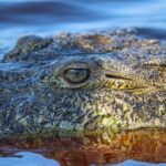 Half-Day Tour to Ventanilla, Mazunte, Zipolite and Puerto Angel - Things to Keep in Mind