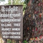 Half Day Trip to Killing Field and Genocidal Museum - Who Should Consider This Tour?
