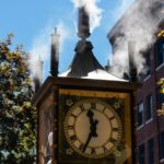 Half-day Vancouver City Tour & Lookout Tower - What Makes This Tour Stand Out?