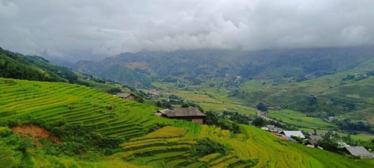 Half Day Visit Y Linh Ho,Lao Chai,Ta Van Trekking With Lunch - The Itinerary in Detail: What You Can Expect