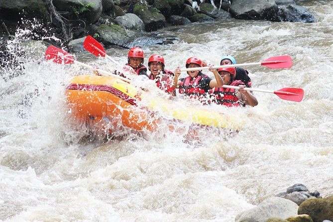 Half Day White Water Rafting Adventure from Bali - Why This Tour Might Be Right for You