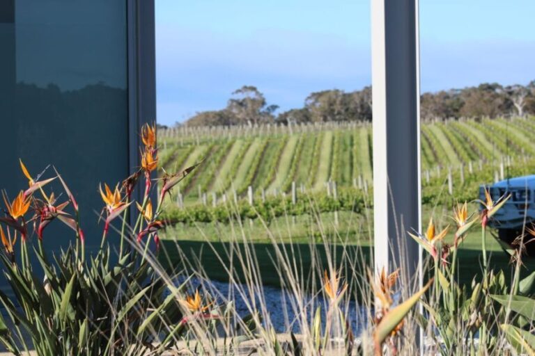 Half day Wine and Sights Discovery Tour Busselton - The Itinerary in Detail