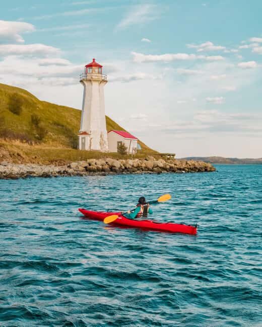 Halifax: Guided Kayak Tour with Multiple Options - The Practical Side: What’s Included and What’s Not