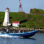 Halifax Harbour Historical & Wildlife High-Speed Tour - Exploring the Itinerary in Detail