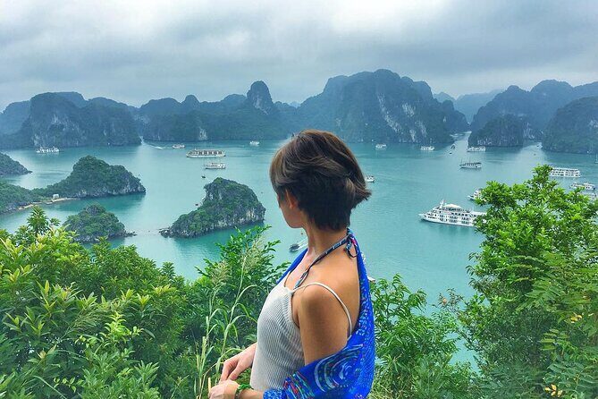 Halong Bay 2 Days 1 Night with Athena Cruise 5 Star Luxury - Who Should Consider This Tour?