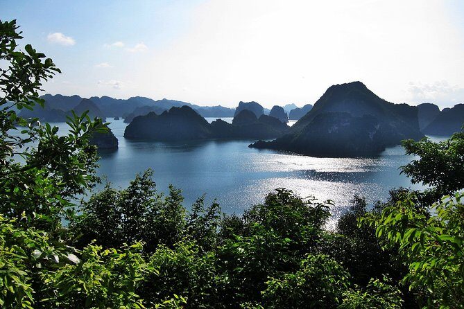 Halong Bay Cruise One Day Luxury Cruises - What Travelers Say