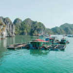 Halong Bay: Day Cruise from Halong Port Shore Excursion - Who Will Love This Tour?