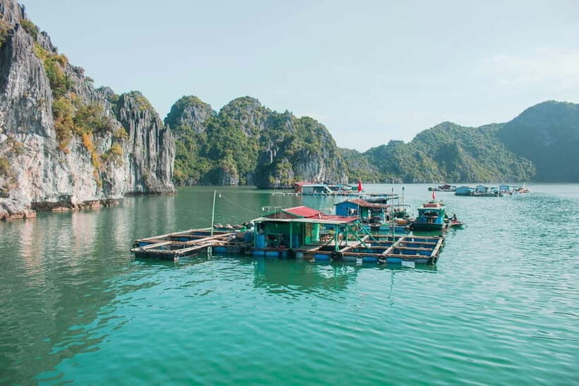 Halong Bay: Day Cruise from Halong Port Shore Excursion - Who Will Love This Tour?