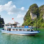 Halong Bay Day Tour With Titop Island, Cave, Kayak & Lunch - Who Is This Tour Best For?