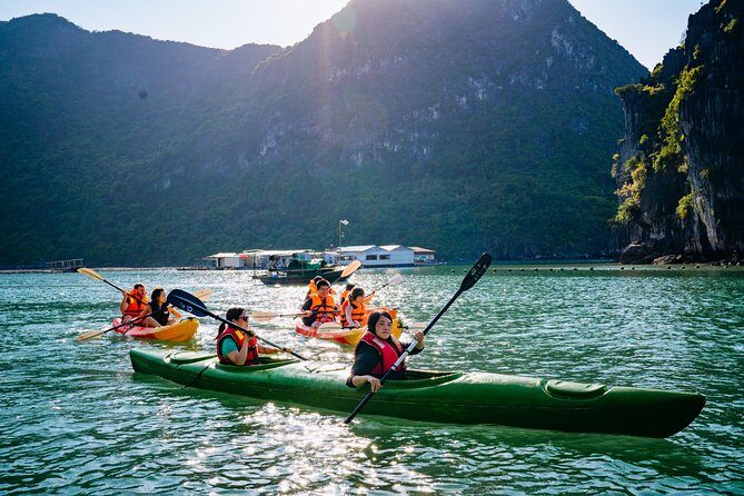 Halong Bay Nature Heritage day trip - Authentic Experiences and Traveler Insights