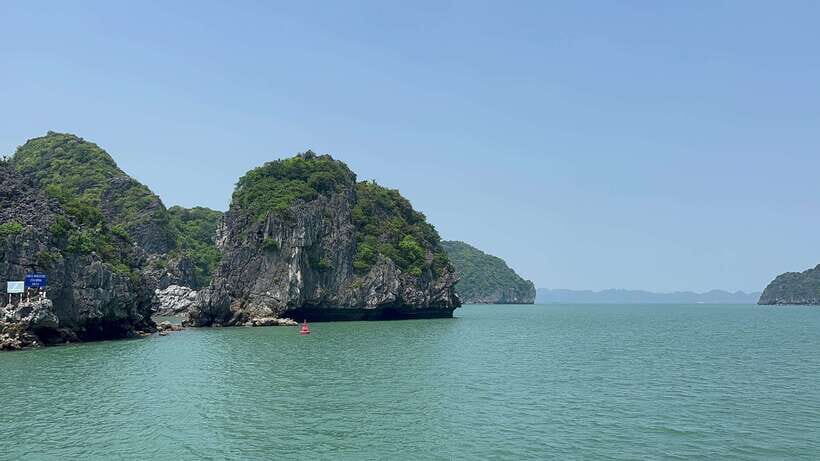 Halong Bay Sightseeing Cruise Full Day Tour With Buffet - Who Will Love This Tour?