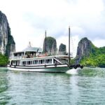 Halong Bay Standard Cruise 1 Day Tour from Tuan Chau Harbor/Hanoi - The Practical Side: What It Means for You