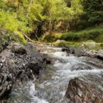 Hamamatsu Japan: Riverside Camping - What Sets This Tour Apart