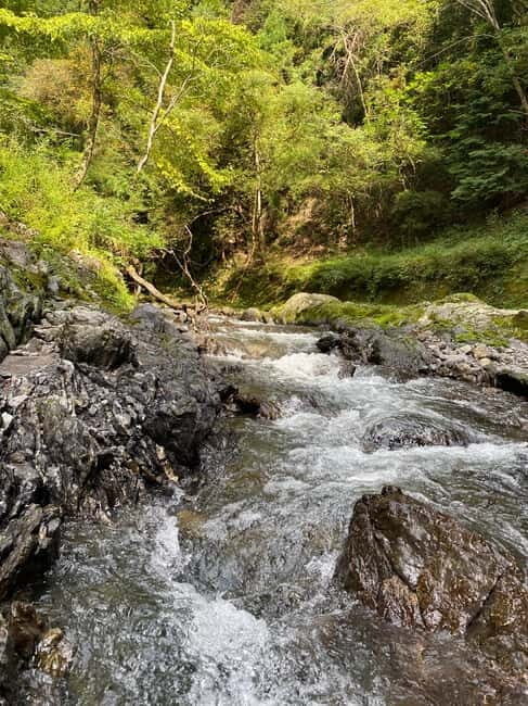 Hamamatsu Japan: Riverside Camping - What Sets This Tour Apart