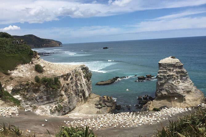 Hamilton Gardens & Hobbiton Exclusive Luxury Day Tour From Auckland - Scenic Stop at Lake Karapiro and Mighty River Domain
