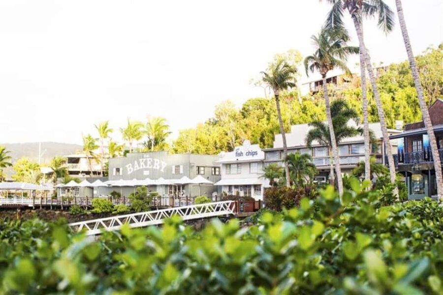 Hamilton Island Freestyle Day Tour With Lunch - An In-Depth Look at the Experience