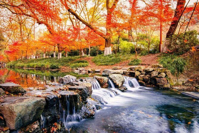 Hangzhou Jiuxi and Hupao Spring Hiking Day Trip from Shanghai by Bullet Train - Authentic Experiences That Shine