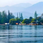 Hangzhou Nature and Garden Private Day Tour with Tea Village and Lunch - Why You Should Consider This Tour
