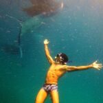 Hanifaru Bay Snorkeling with Whale sharks & Mana Rays - What to Expect from the Tour