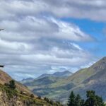Hanmer Springs Private Day Tour - Practical Considerations and Value