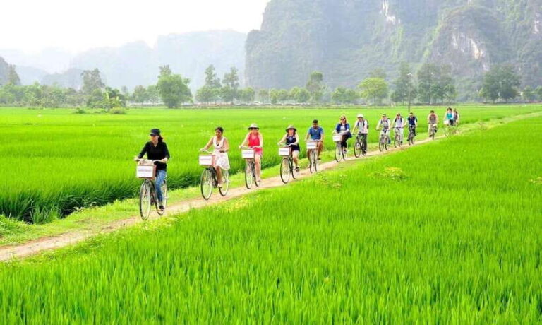 Hanoi: 2D 1N_ Ha long 1day & Ninh Binh full day and bungalow - Why This Tour Offers Excellent Value