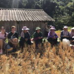 Hanoi: 3-Day Mu Cang Chai Trekking, Hidden Trail, Local Life - Trekking and Scenic Highlights of Day Two