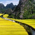 Hanoi: 3-Day Ninh Binh to Bai Tu Long Bay Tour and Cruise - From Ninh Binh to Bai Tu Long Bay: A Luxurious Cruise