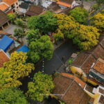 Hanoi City Tour Full Day With Hiddn Local Life Experience - What Travelers Say