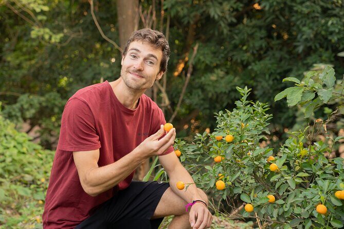 Hanoi Cooking Class in a Haven of Tranquility - Thom culinary - The Setting: Tranquility and Visual Appeal