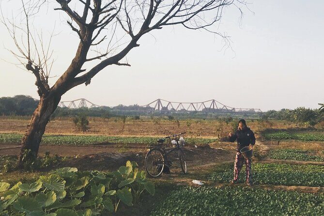 Hanoi Countryside in Banana Island - Top Tours & Activities - Analyzing the Journey: What’s the Value?