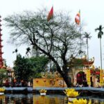 Hanoi Cyclo Ride and Water Puppet Show - The Iconic Cyclo Ride through the Old Quarter