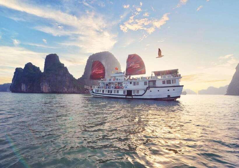 Hanoi: Discover Hidden Gems 2-Day Cruise to Bai Tu Long Bay - What Makes This Tour Stand Out?
