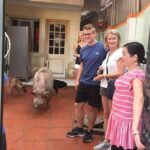 Hanoi Food Walking Tour - Why This Tour Offers Great Value