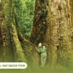 Hanoi: Full-day Cuc Phuong National Park Eco-adventure - Visiting the Endangered Primate Rescue Center