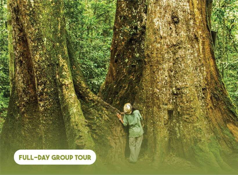 Hanoi: Full-day Cuc Phuong National Park Eco-adventure - Visiting the Endangered Primate Rescue Center