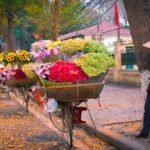 Hanoi Half-day City Tour with Dong Xuan Market - Ho Chi Minh’s Memorial House: Peering Into the Leader’s Life