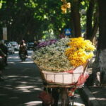 Hanoi: Half-day Private City Tour - What Makes This Tour Stand Out