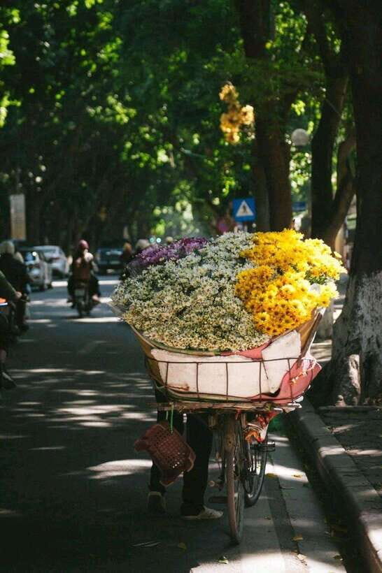 Hanoi: Half-day Private City Tour - What Makes This Tour Stand Out