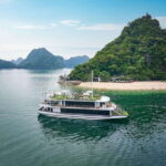 Hanoi: Halong Bay Day Tour with 5-star Cruise & Transfer - The Journey Begins: From Hanoi to Halong Bay