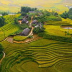 Hanoi Halong Bay Sapa Special Package 6Day, 6Night Hotel 4 Star & Cruise 5 star - Day 4 & 5: Sapa – Terraced Fields and Mountain Vistas