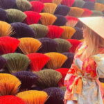 Hanoi: Incense Village, Hat-Making & Ninh Binh, Tam Coc Tour - Who Should Consider This Tour?