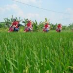 Hanoi Jeep Food Tour Led By Women - FAQ