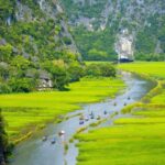 Hanoi: Ninh Binh - Halong 2 D1N trip by Bus - Bungalow/Hotel - Exploring Halong Bay in Style