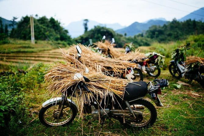 Hanoi Sapa Valley  Cat Cat Village - Fansipan Legend 4D3N - Exploring Fansipan: The Roof of Indochina
