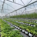 Hanoi Tour in a Bike with Cooking Class Included - The Itinerary in Detail